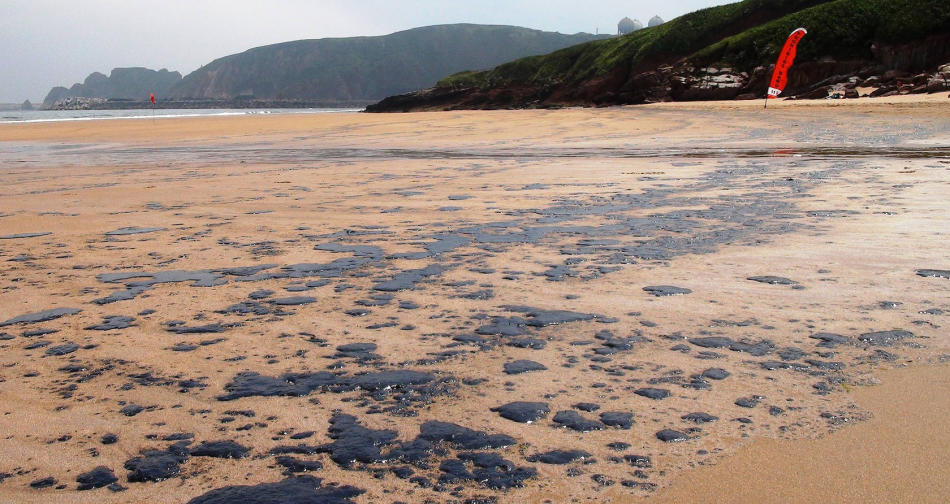 Marea negra por un vertido de fuel en el litoral asturiano - Comunidad ISM